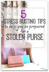 5 Stress Busting Tips To Be Prepared For A Stolen Purse