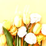 21 Inspirational Spring Quotes To Energise You This Season