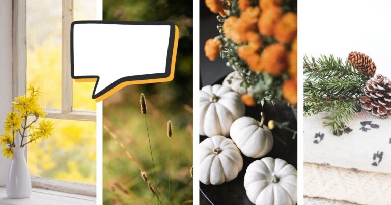 38 Inspirational Quotes For Each Month Of The Year