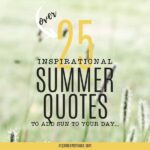 Over 25 Inspirational Summer Quotes To Add Sun To Your Day