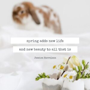 21 Inspirational Spring Quotes To Energise You This Season