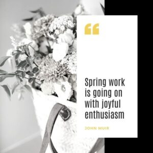 21 Inspirational Spring Quotes To Energise You This Season