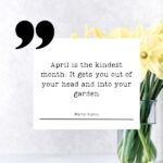 38 Inspirational Quotes For Each Month Of The Year