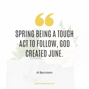 38 Inspirational Quotes For Each Month Of The Year