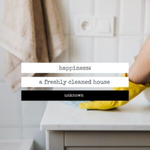 8 Cleaning Motivation Quotes To Get Those Chores Done!