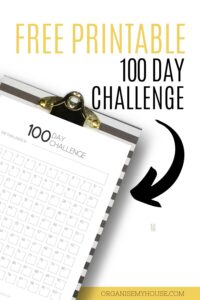 Free Printable 100 Day Challenge Calendar (A4 And Letter)