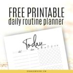 Free Printable Daily Routine Chart For Adults (A4 / Letter)