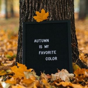 69 Inspirational Letter Board Quotes You're Going To Love!