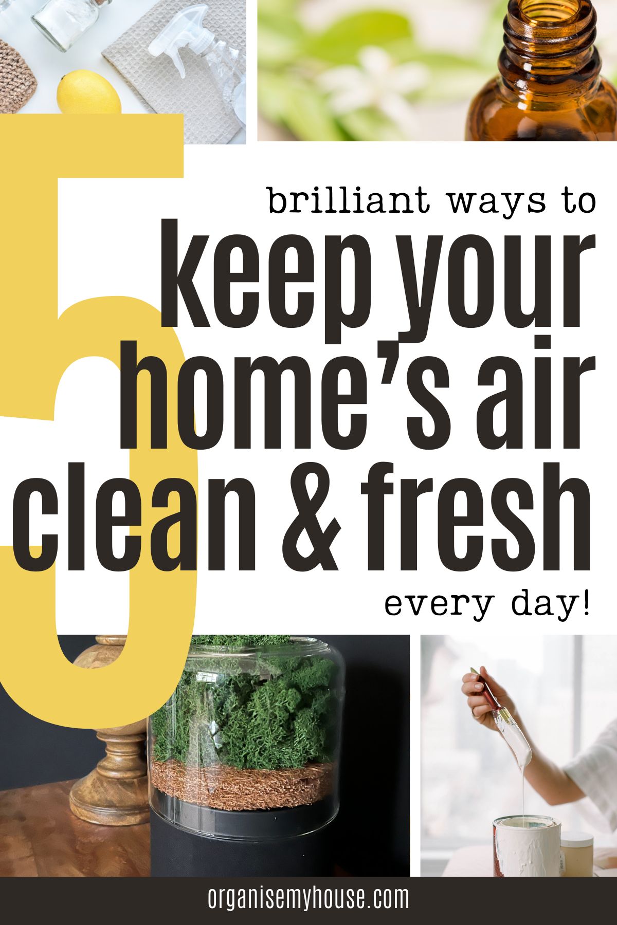 5 Brilliant Ways To Keep Your Home's Air Clean And Fresh – Every Day!