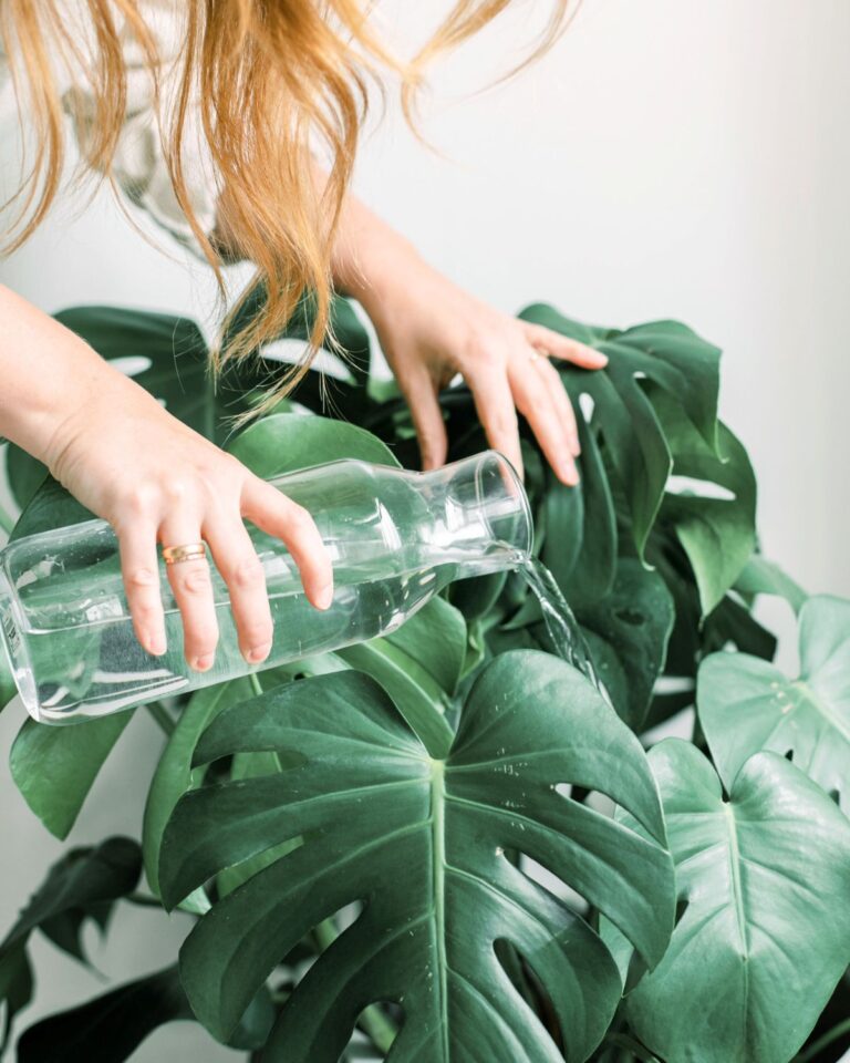 5 Brilliant Ways To Keep Your Home's Air Clean And Fresh – Every Day!